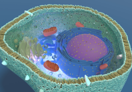 Pathofysiologie van Long-COVID auto-antistoffen op mitochondriën ...